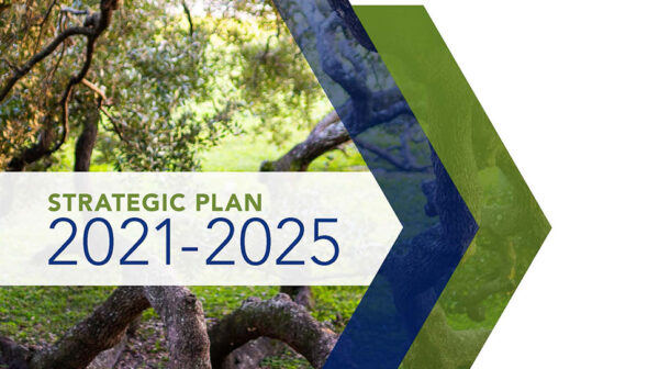 Strategic Plan 2021-2025 - The Community Foundation for Northeast Florida
